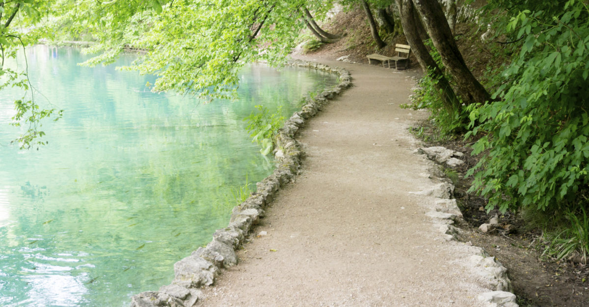 Bringing Palliative Care to Your Pediatric Practice