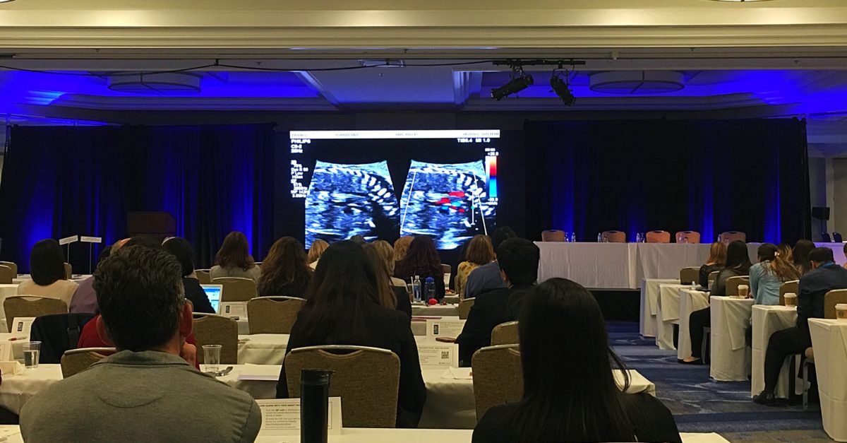 CHOC-hosted inaugural Pacific Coast Fetal Cardiology Symposium provides ...