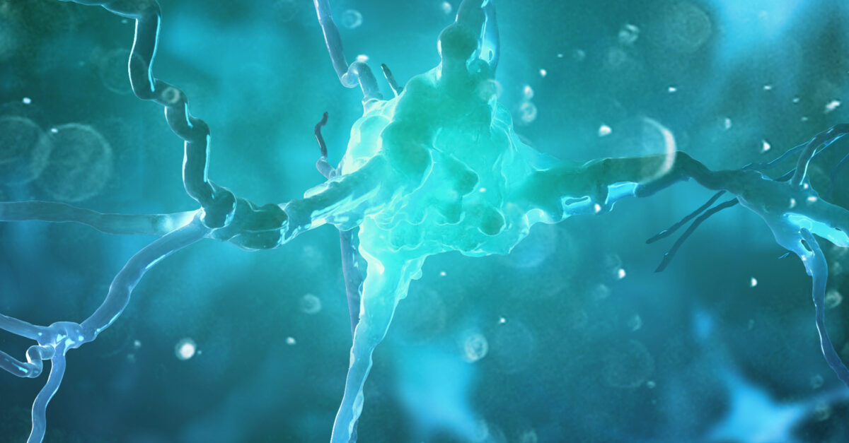 Surveillance program for CHD patients yields improvement